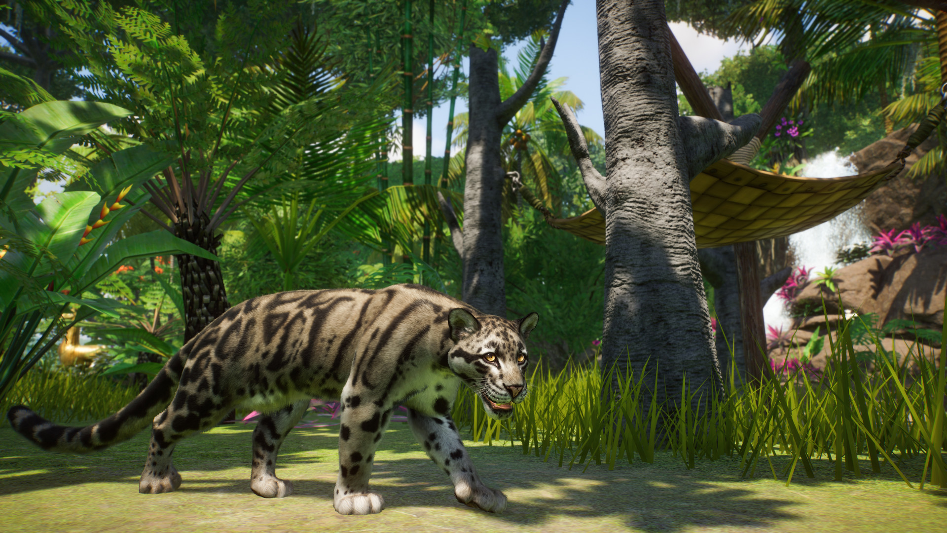 Planet Zoo Zerolasopa
